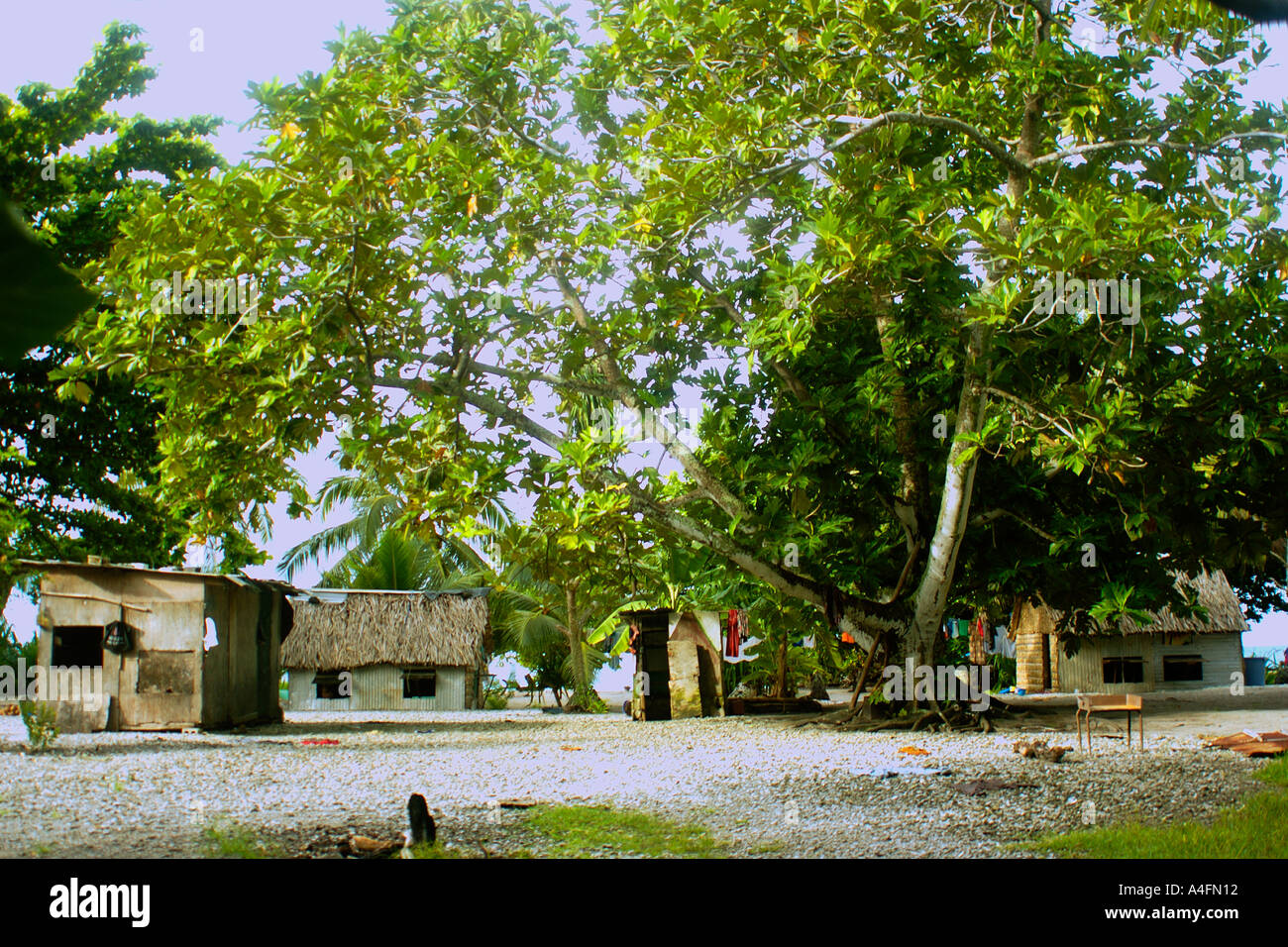Traditional marshalhese village at Majikin Island Namu atoll Marshall ...