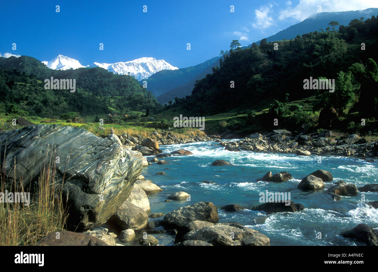Madi hi-res stock photography and images - Alamy