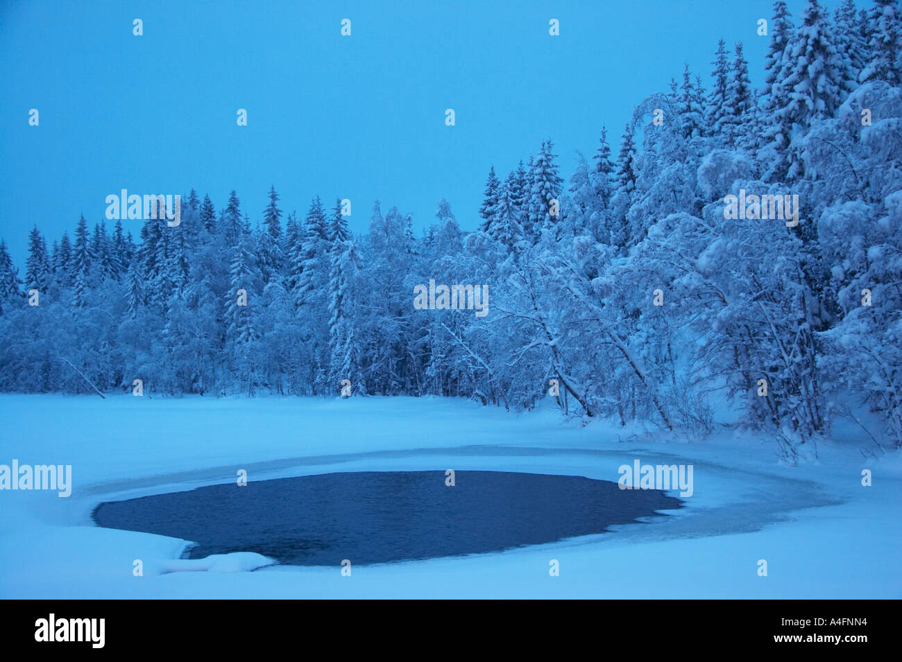 Norway, Oslo, Holmenkollen. Snow covered forest and ice covered lake at ...