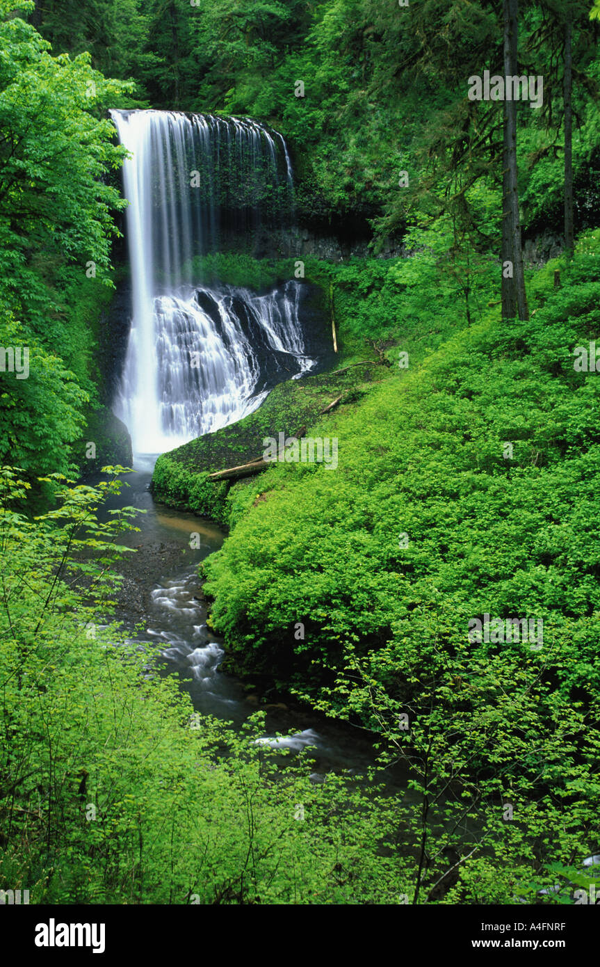 Middle North Falls in Silver Falls State Park in Salem Oregon Stock ...