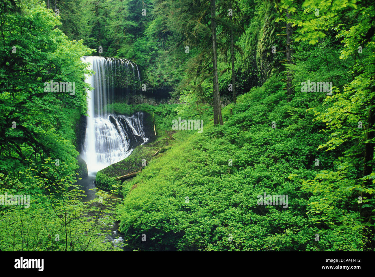 Middle North Falls in Silver Falls State Park in Salem Oregon Stock ...