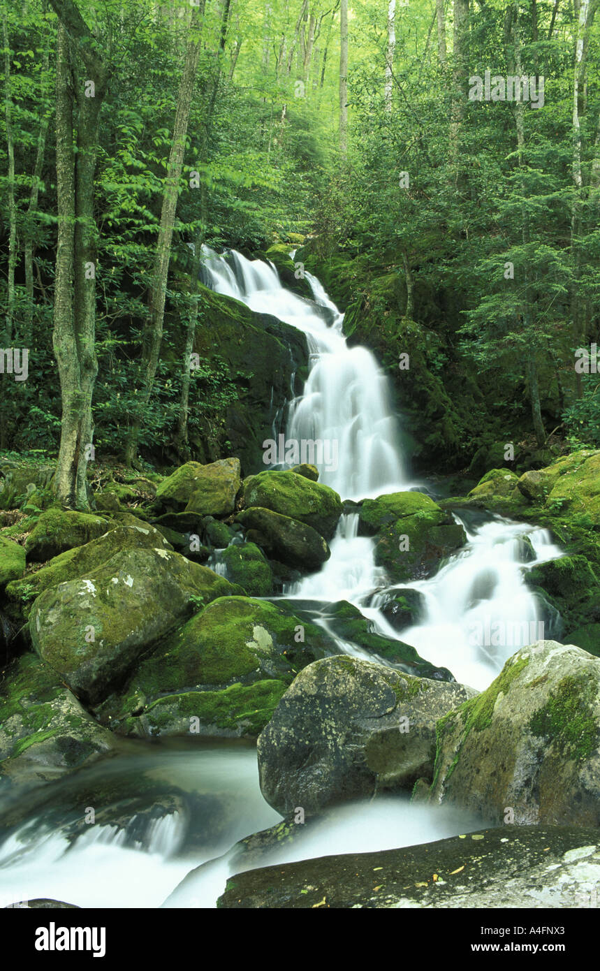 Mouse Creek falls is a waterfall and cascade along Big Creek Trail in ...