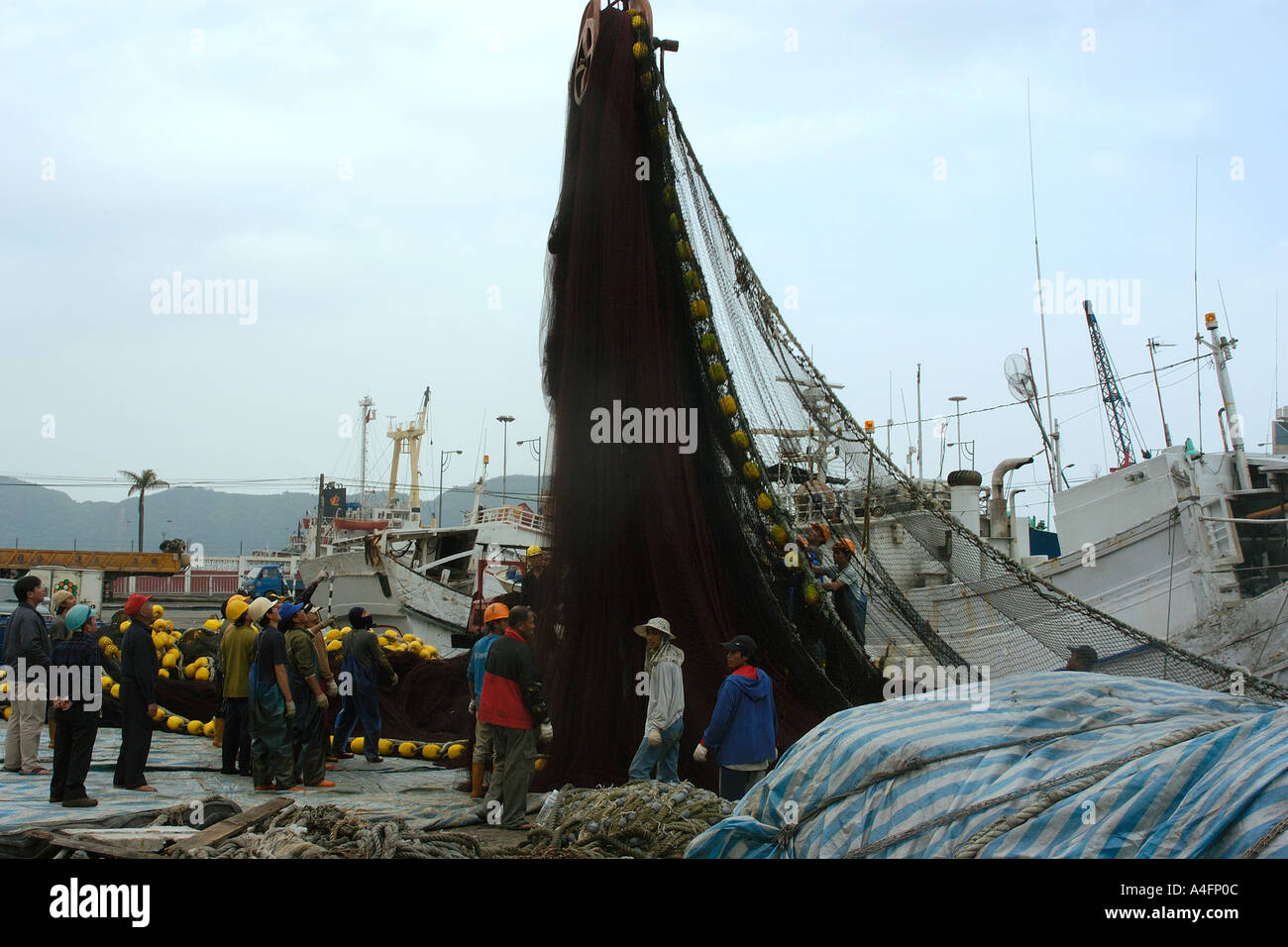 Fishermen observe as large net is lifted Nanfang ao harbour Suao Taiwan ...