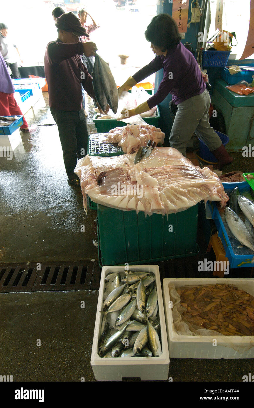 Transaction fishing hi-res stock photography and images - Alamy