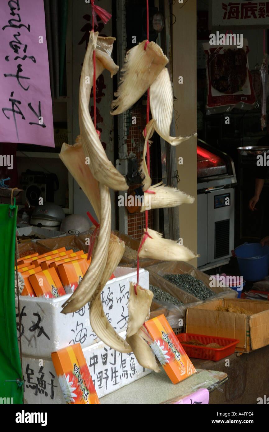 Dried shark fins for sale at Nanfang ao fish market Suao Taipei Taiwan ...