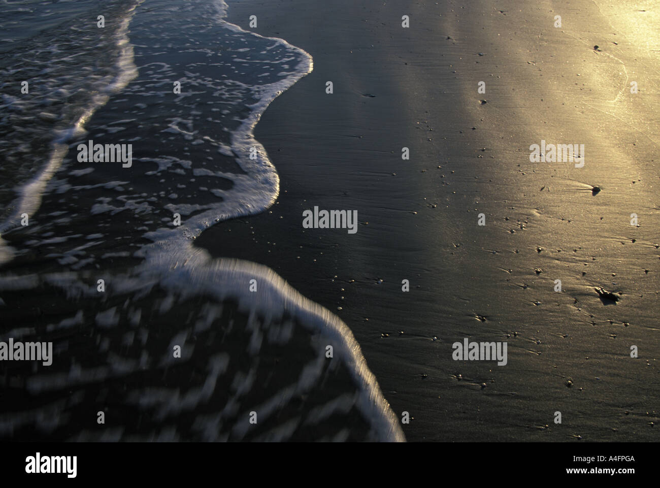 Reflecting natural light hi-res stock photography and images - Alamy
