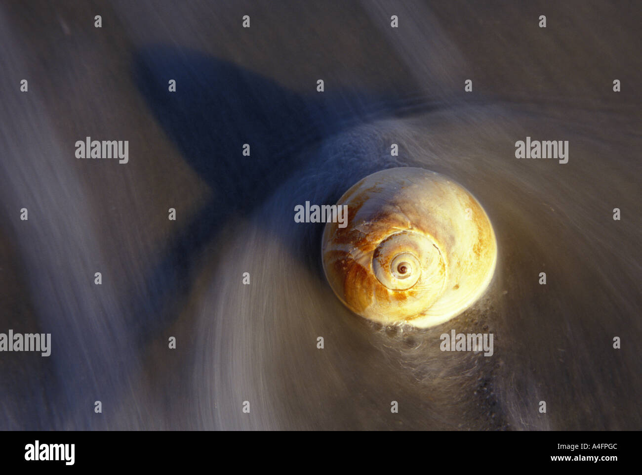 Water upon hi-res stock photography and images - Alamy