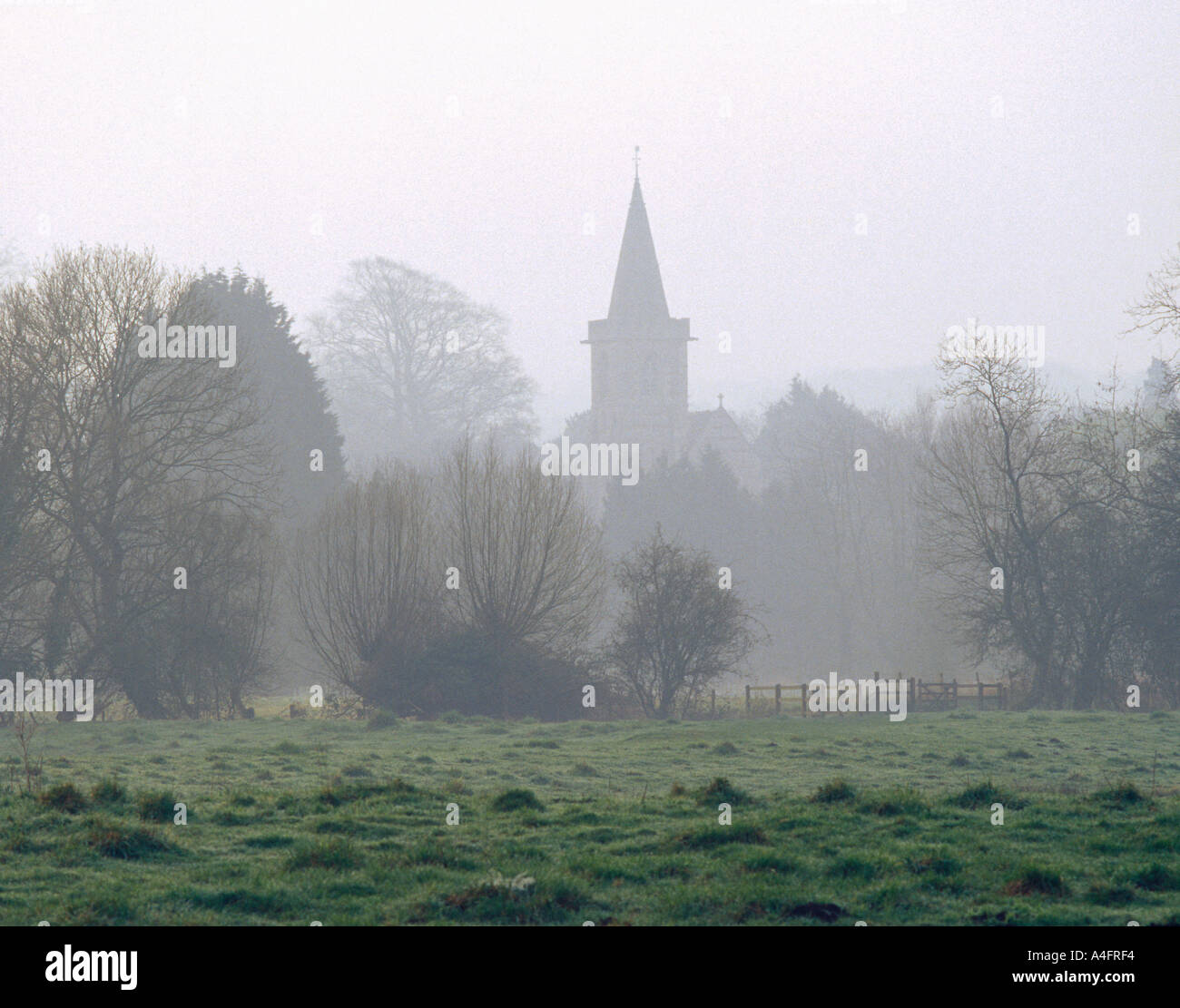 The water meadows in the Itchen Valley near Winchester, with Twyford ...