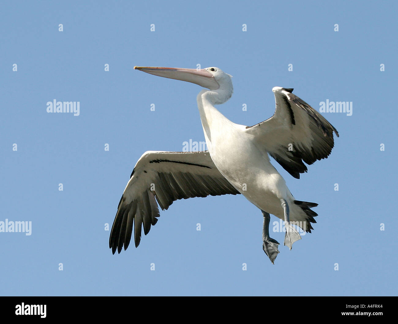 Awkward landing hi-res stock photography and images - Alamy