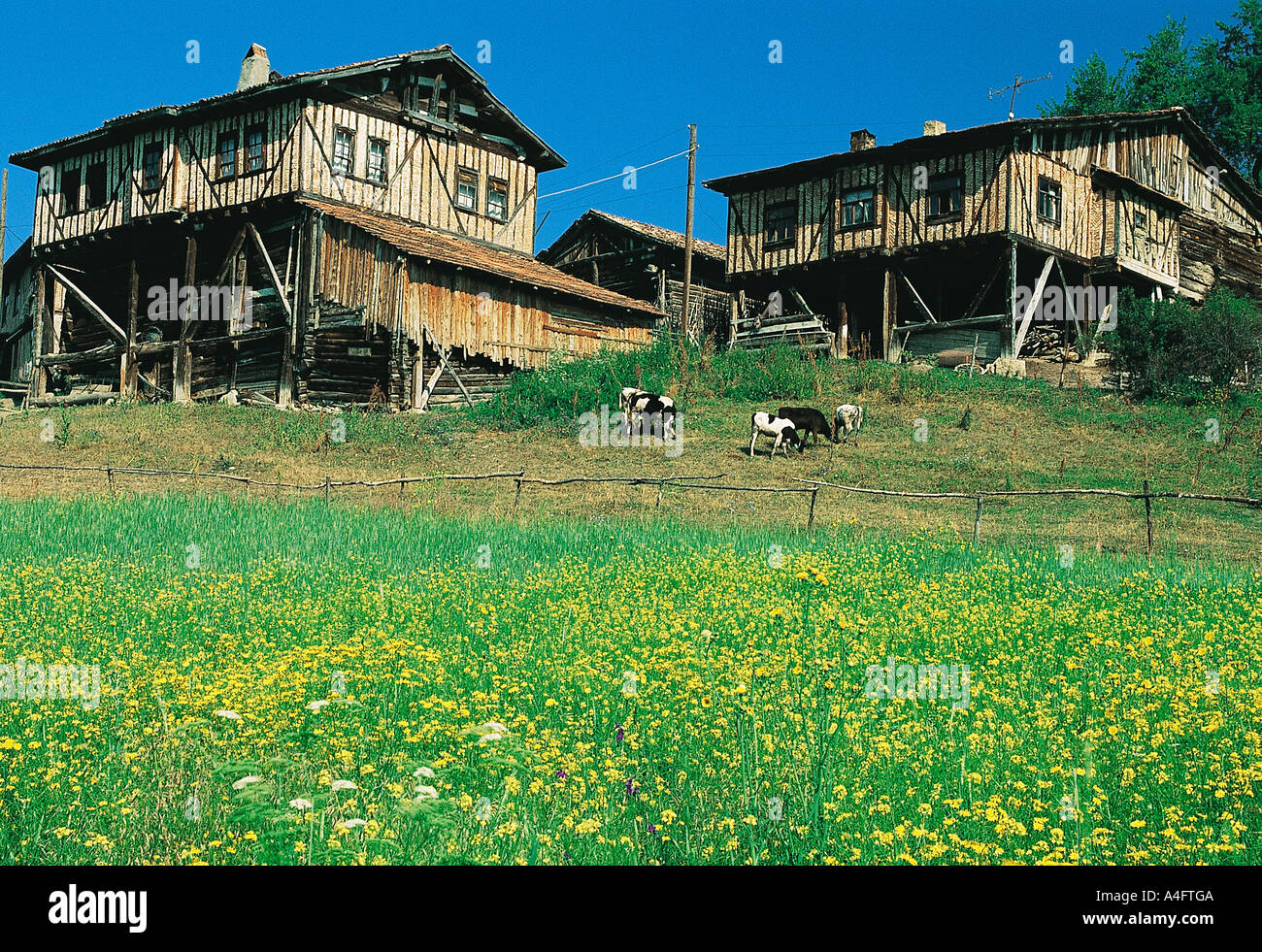 Architecture of Senkoy Village of Cide in Kure Mountains, Turkey Stock ...