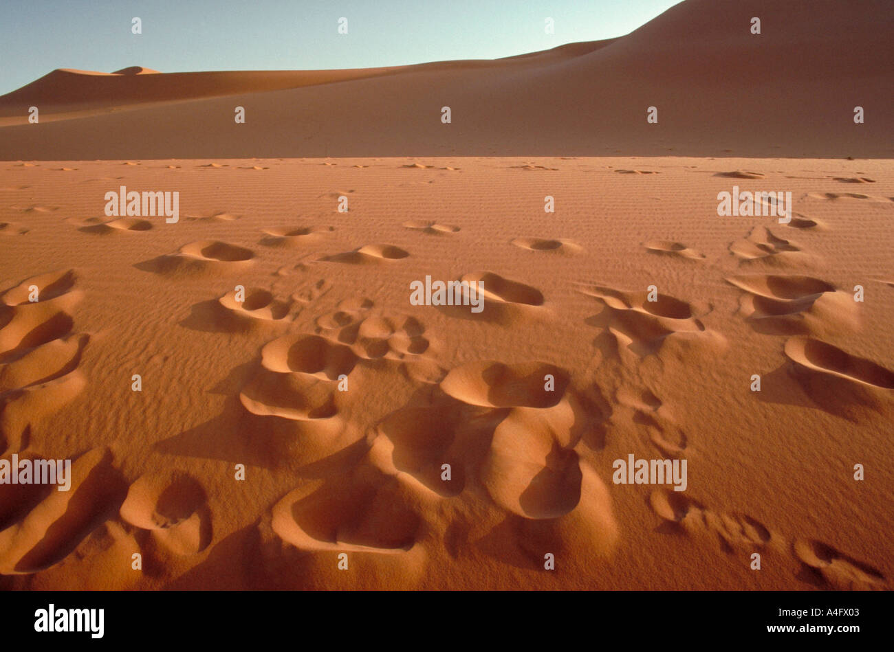 footsteps in the desert Stock Photo - Alamy