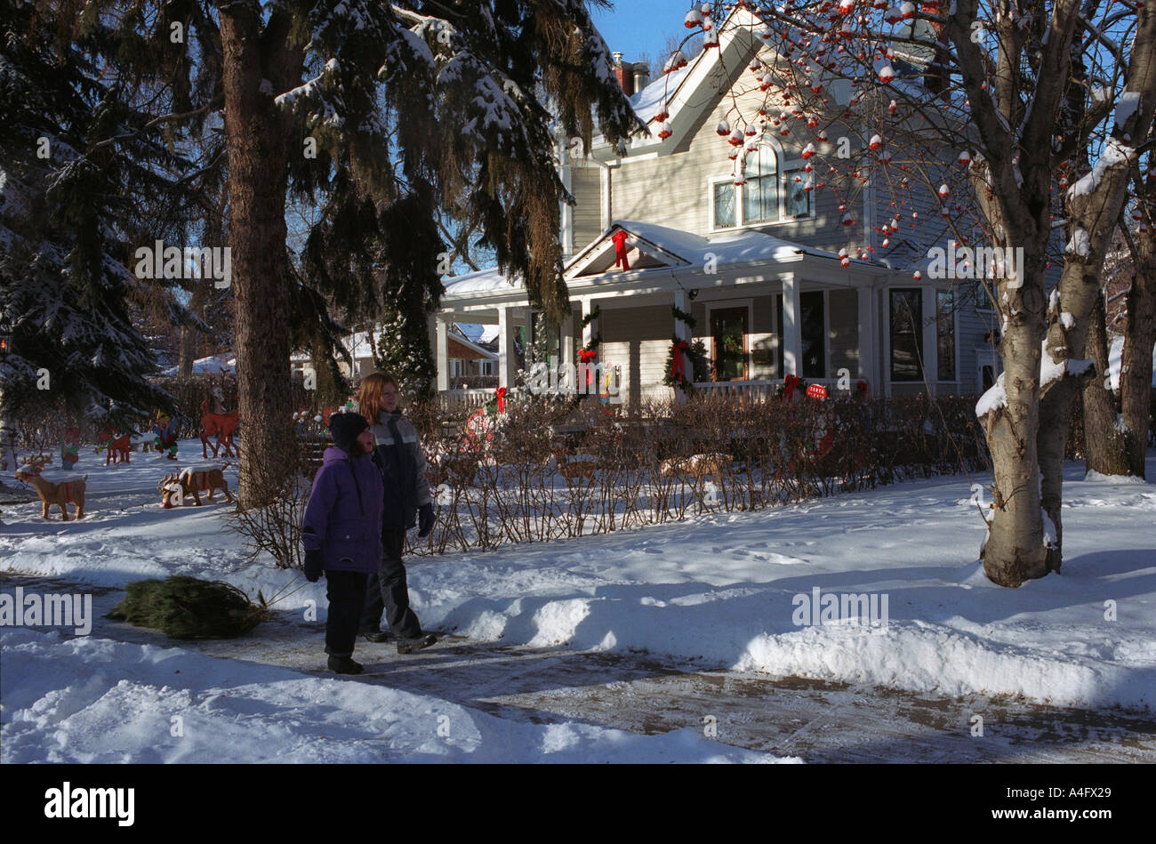 Children carrying christmas tree hi-res stock photography and images ...