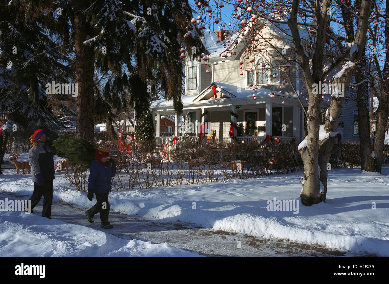 Children carrying christmas tree hi-res stock photography and images ...