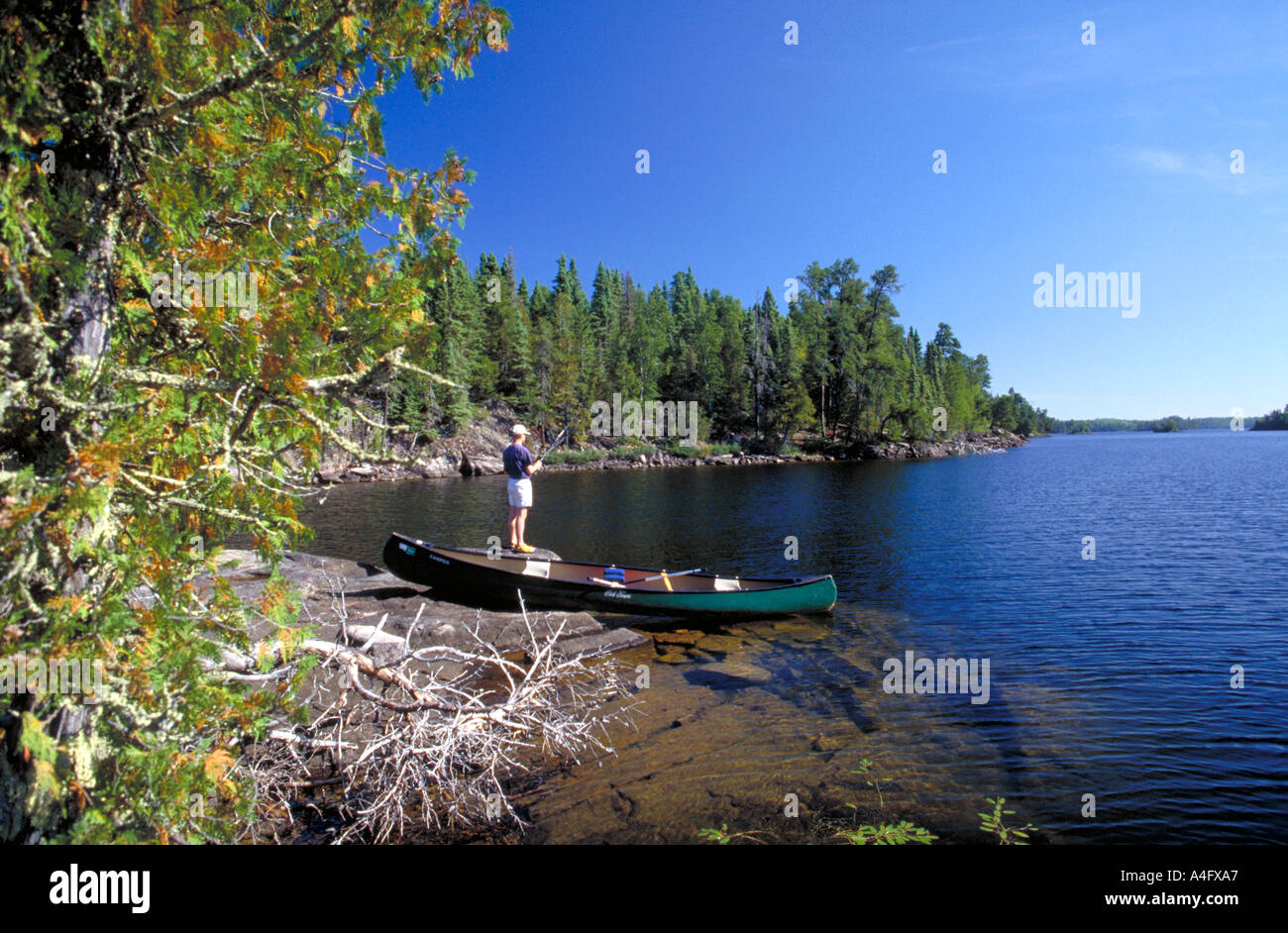 Usa Minnesota BWCA Boundary Waters Canoe Area Fisherman Stock Photo - Alamy