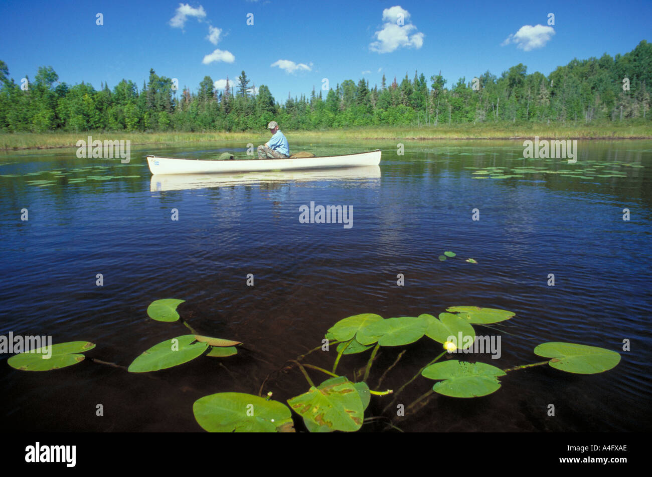 Usa Minnesota BWCA Boundary Waters Canoe Area water lilies and canoe ...