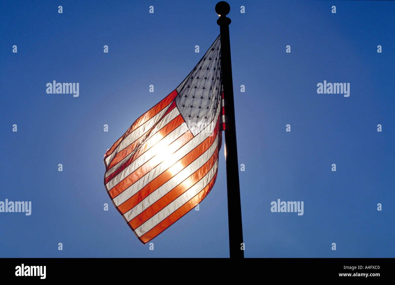 Usa American flag swinging Stock Photo - Alamy
