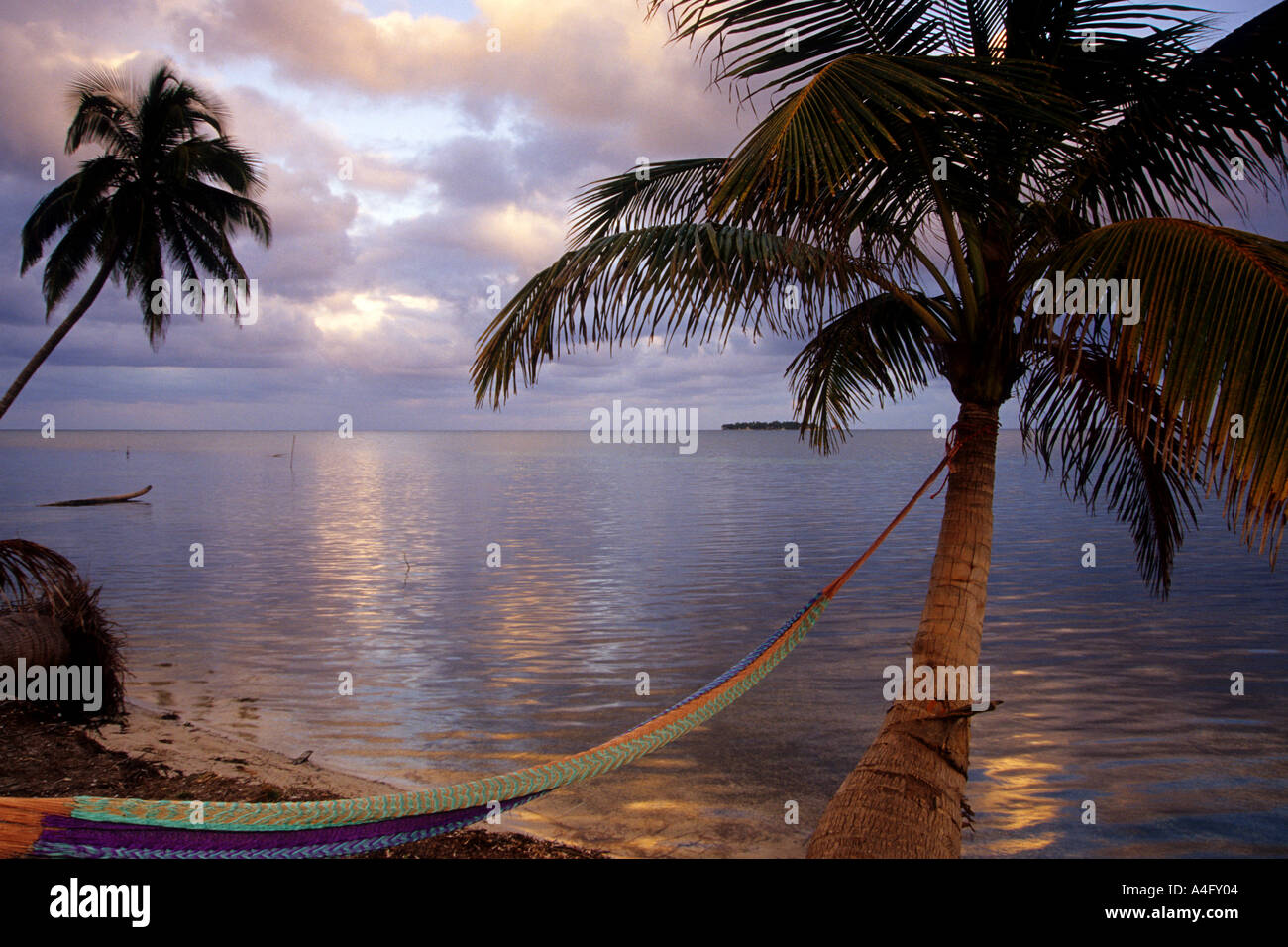 Sea kayaking in Belize Stock Photo - Alamy