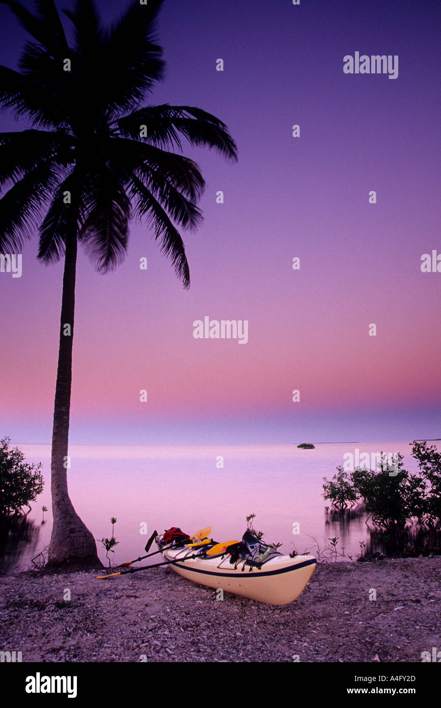 Sea kayaking in Belize Stock Photo - Alamy