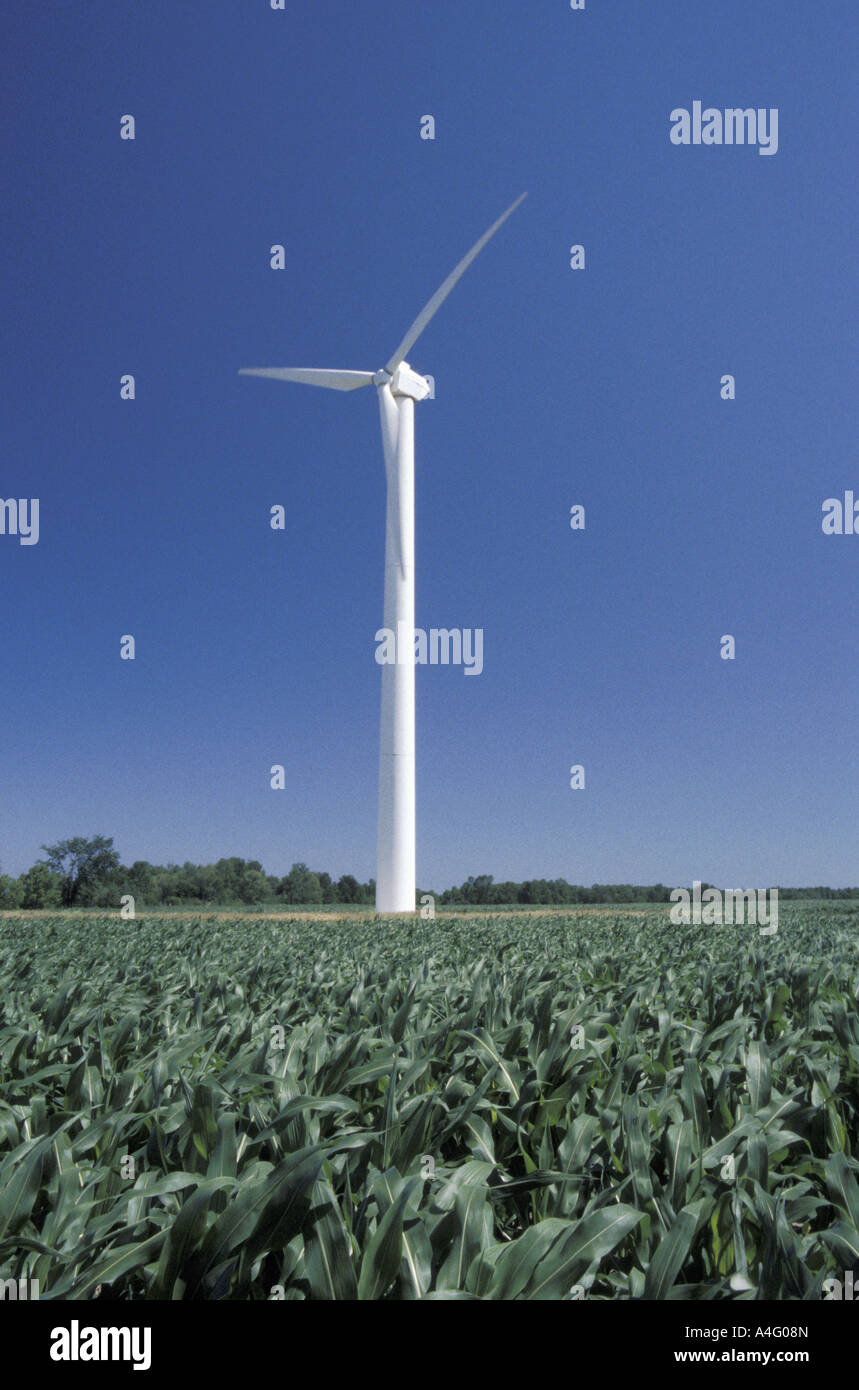 Cornfield wind sunshine in summer hi-res stock photography and images ...