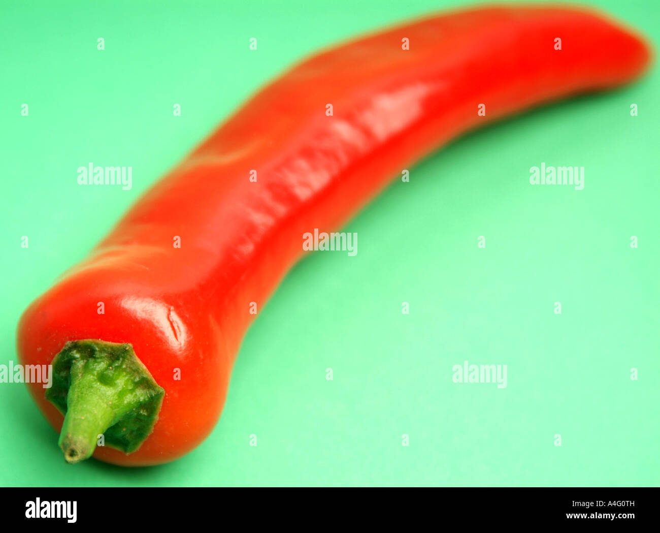 Red Chilli Pepper Stock Photo - Alamy