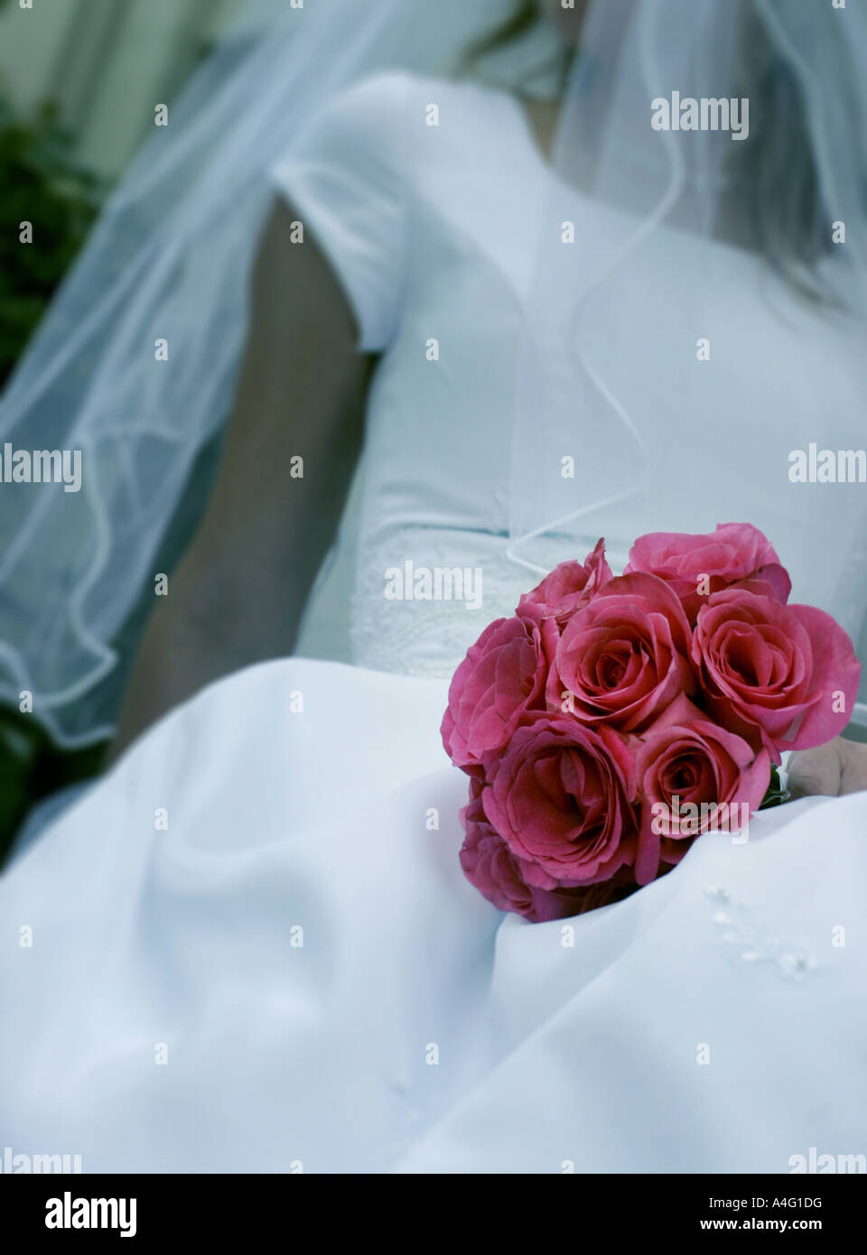 Pink veils hi-res stock photography and images - Alamy