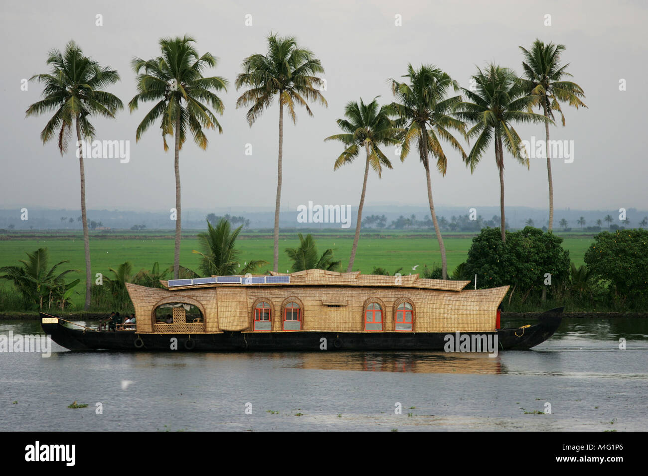 IND, India, Kerala : Typical rice boats on the Backwaters, a canal ...