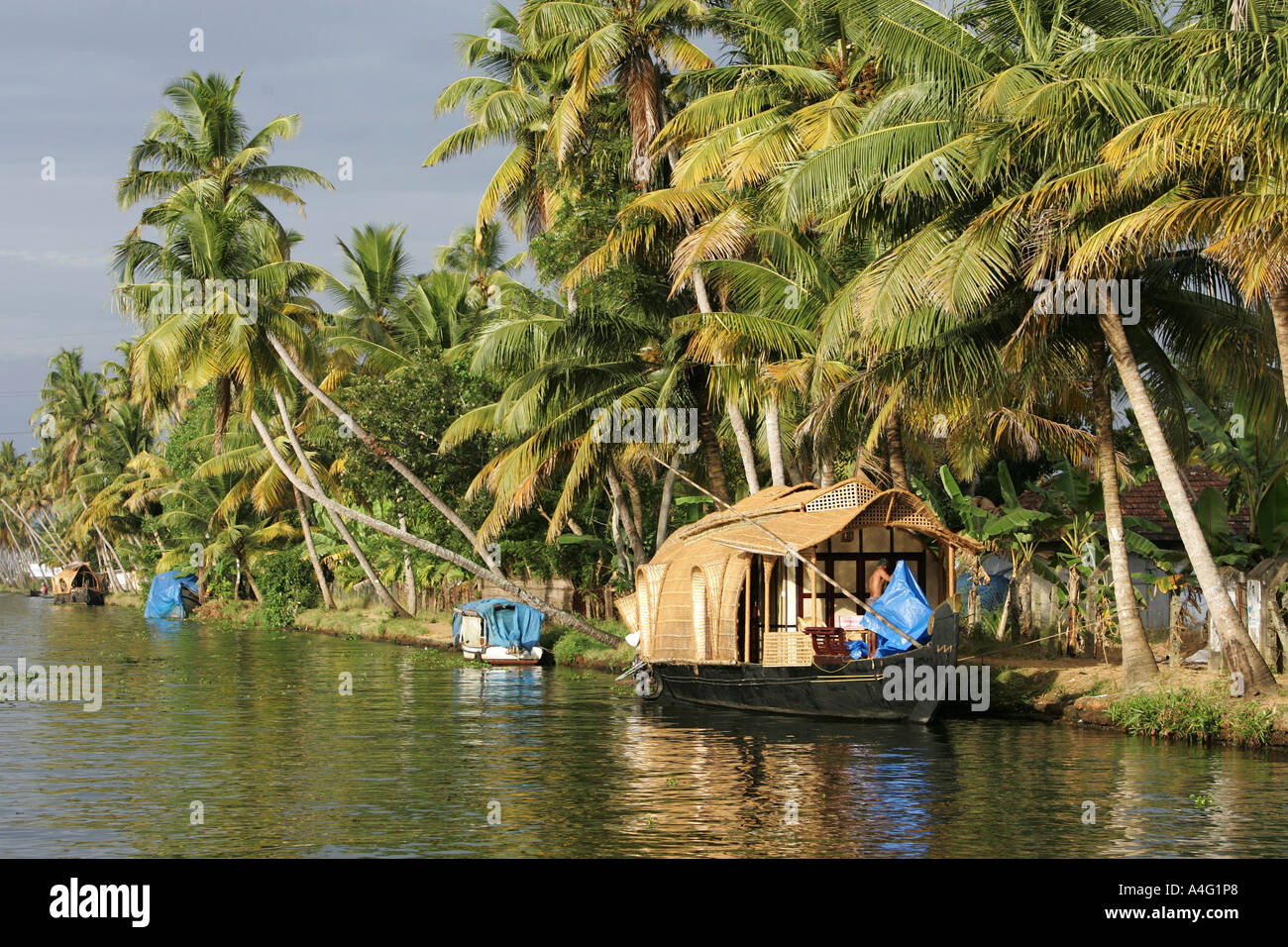 IND, India, Kerala : Typical rice boats on the Backwaters, a canal ...