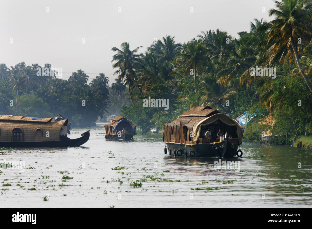 IND, India, Kerala : Typical rice boats on the Backwaters, a canal ...