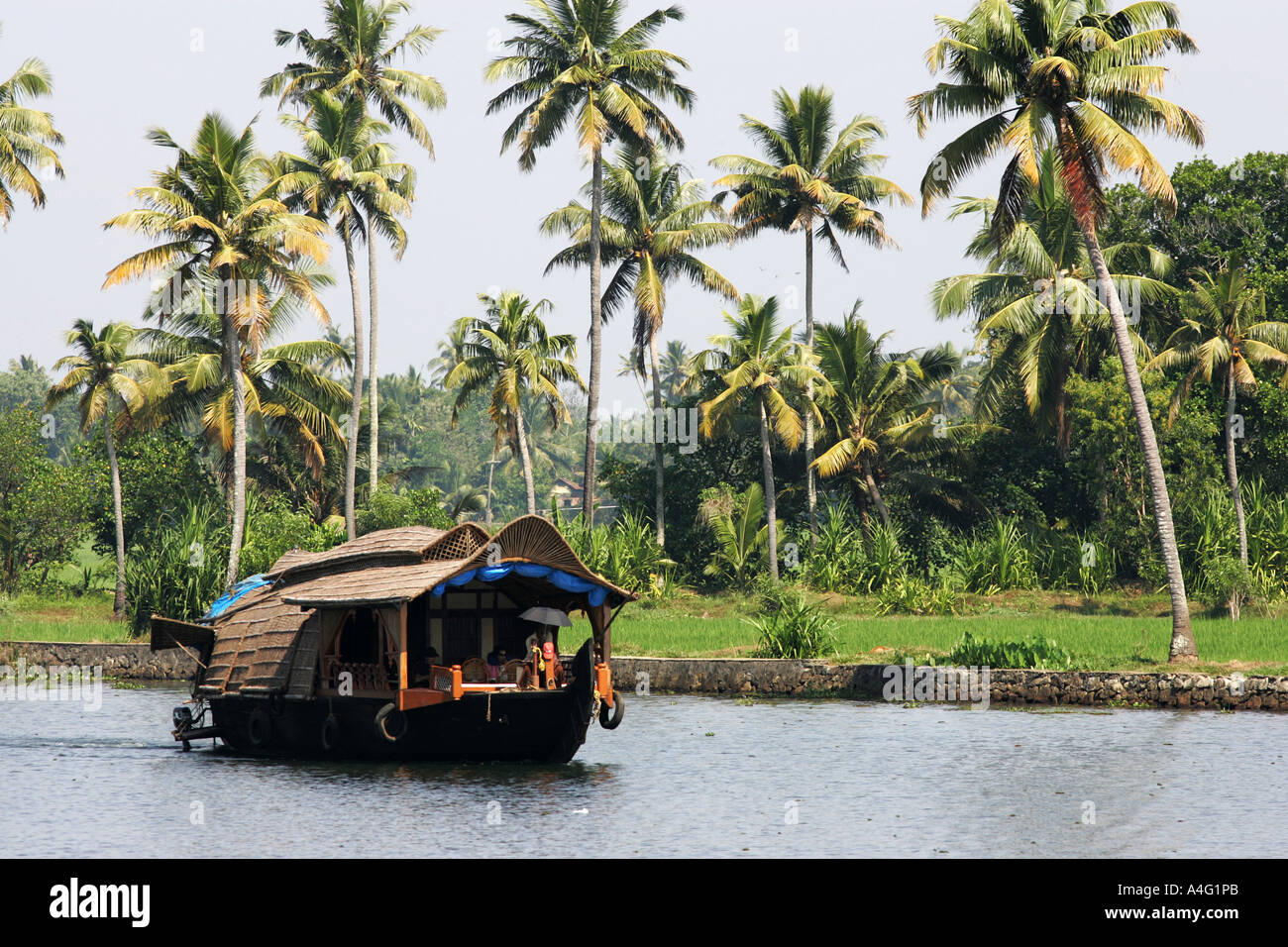 IND, India, Kerala : Typical rice boats on the Backwaters, a canal ...