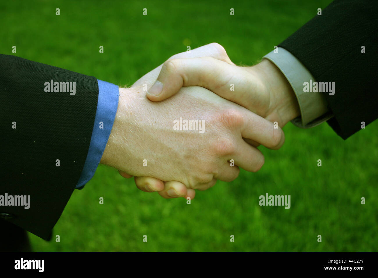 Business handshake with green grass background Stock Photo - Alamy