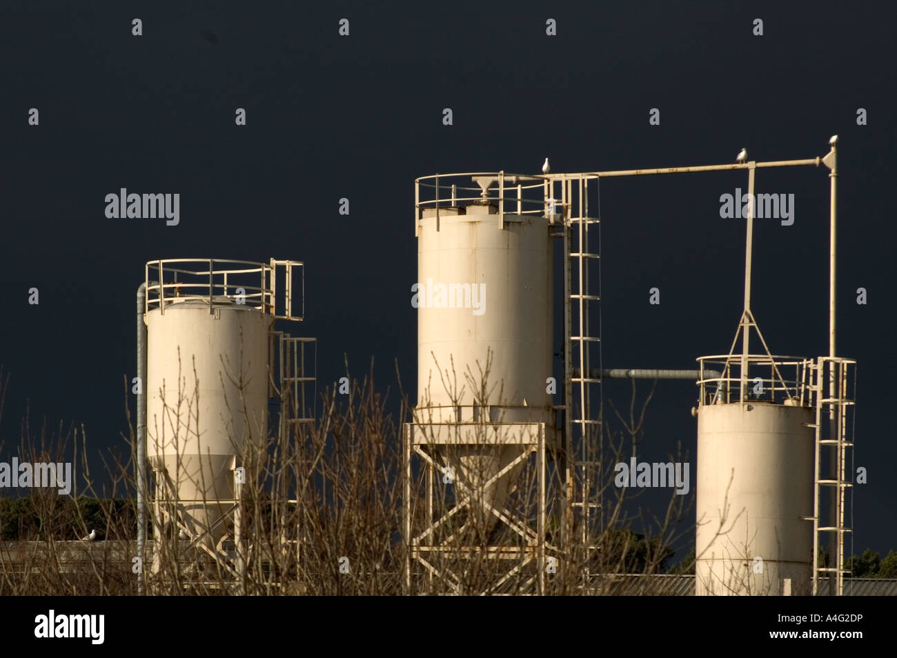 industrial size oil tanks lit by sunlight against a stormy sky ...