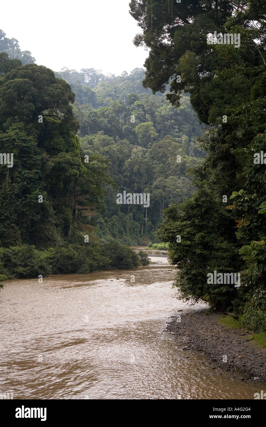 Malaysia Borneo Sabah Danum Valley Borneo Rainforest Lodge Danum river ...