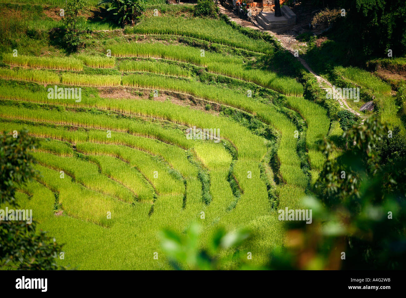 Royal trek nepal hi-res stock photography and images - Alamy