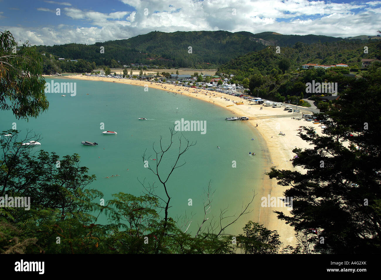 Kaiteriteri near Abel Tasman National Park New Zealand Stock Photo - Alamy