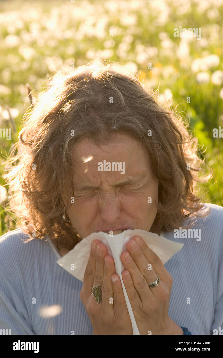 Mr sneeze hi-res stock photography and images - Alamy