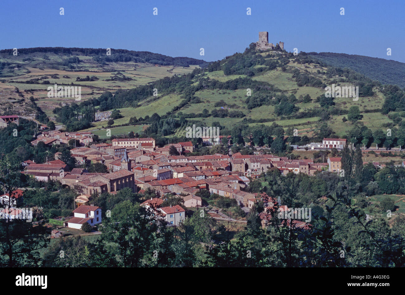 Puivert High Resolution Stock Photography and Images - Alamy