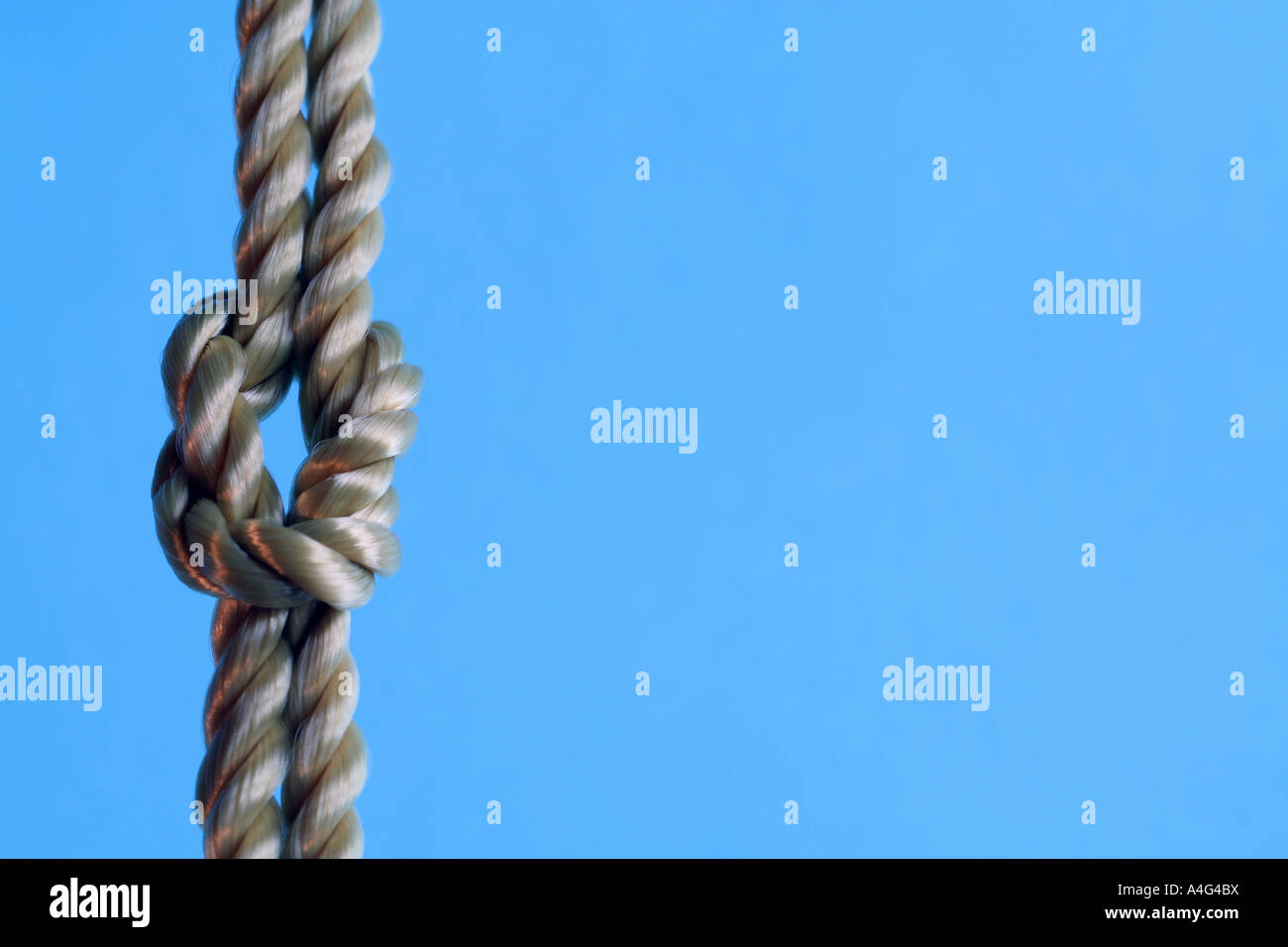How to tie a reef knot hi-res stock photography and images - Alamy