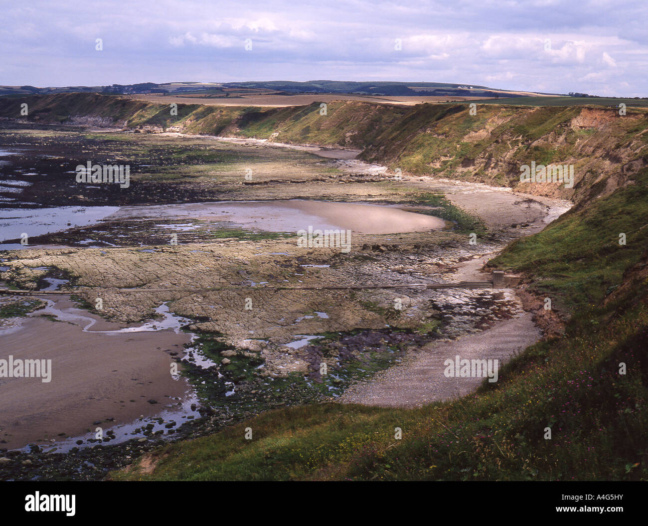 Coast and cliffs on the north Yorkshire coast showing both clay cliff ...