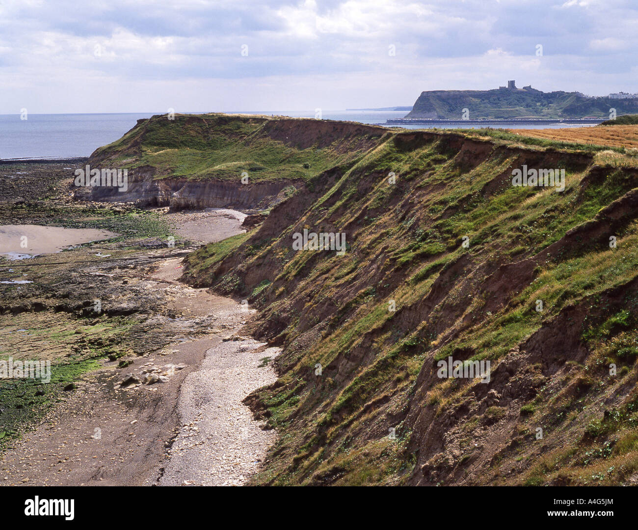 Coast and cliffs on the north Yorkshire coast showing both clay cliff ...