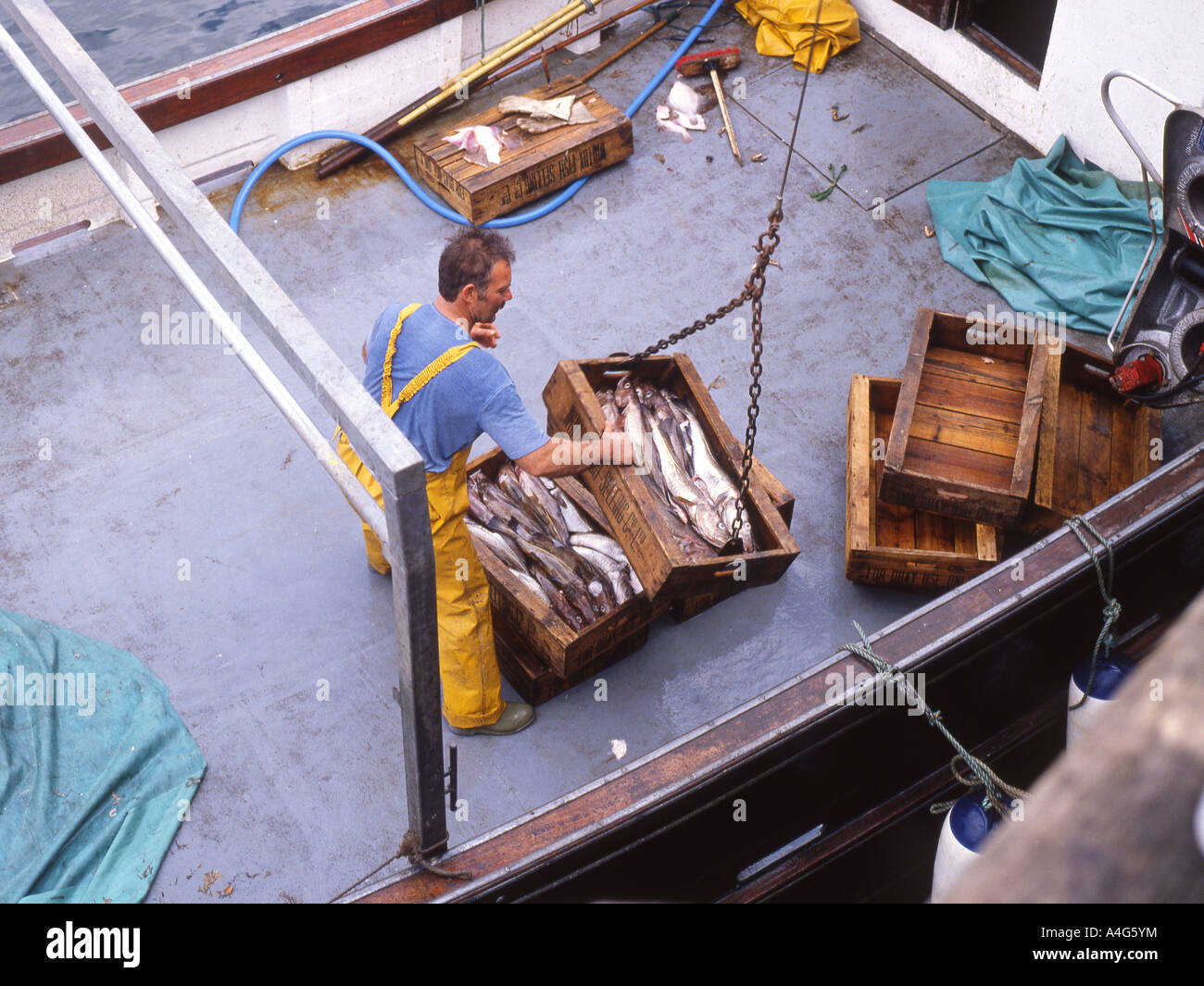 Fisherman unloading fish catch in boxes from trawler by crane Stock ...