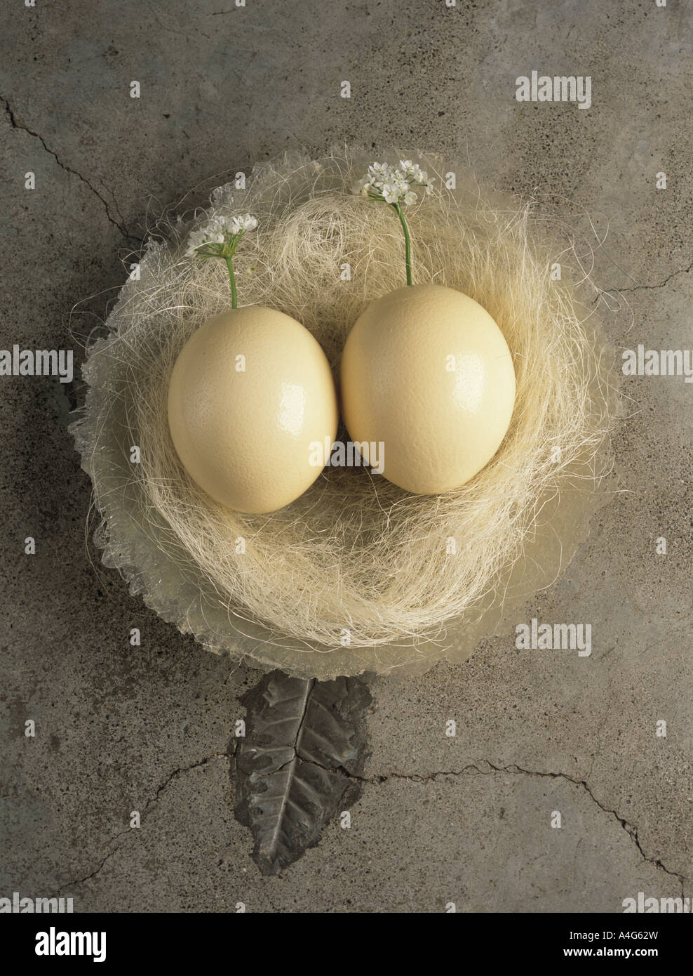 Egg Shell Flower Vase Stock Photo - Alamy