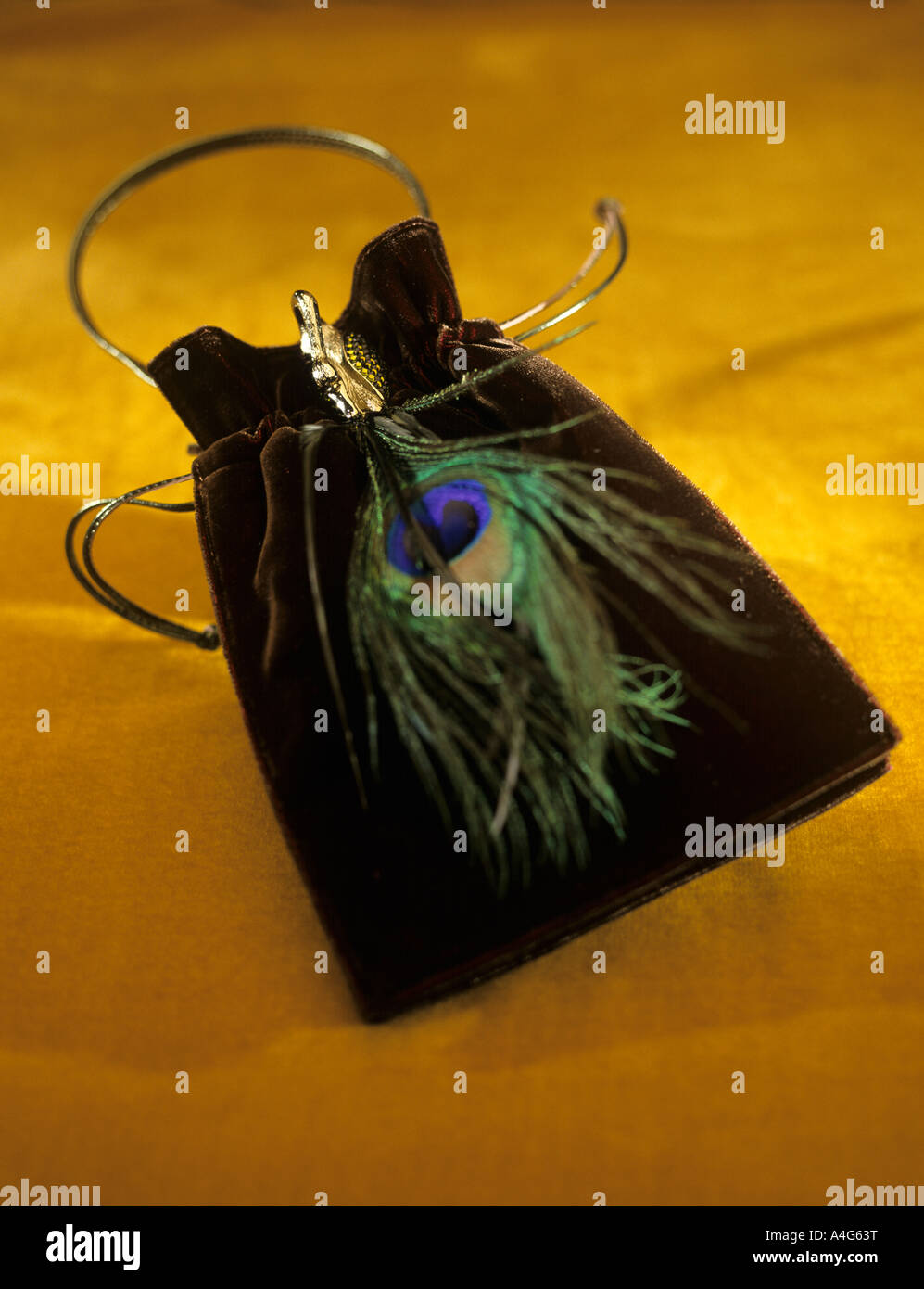 Peacock Feather Pouch Stock Photo - Alamy