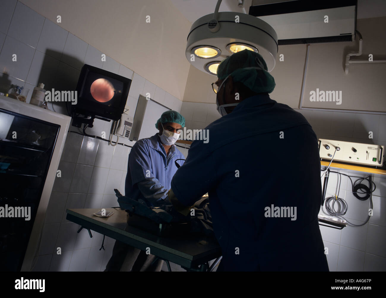 Veterinary Surgeons - Falcon Hospital Stock Photo - Alamy