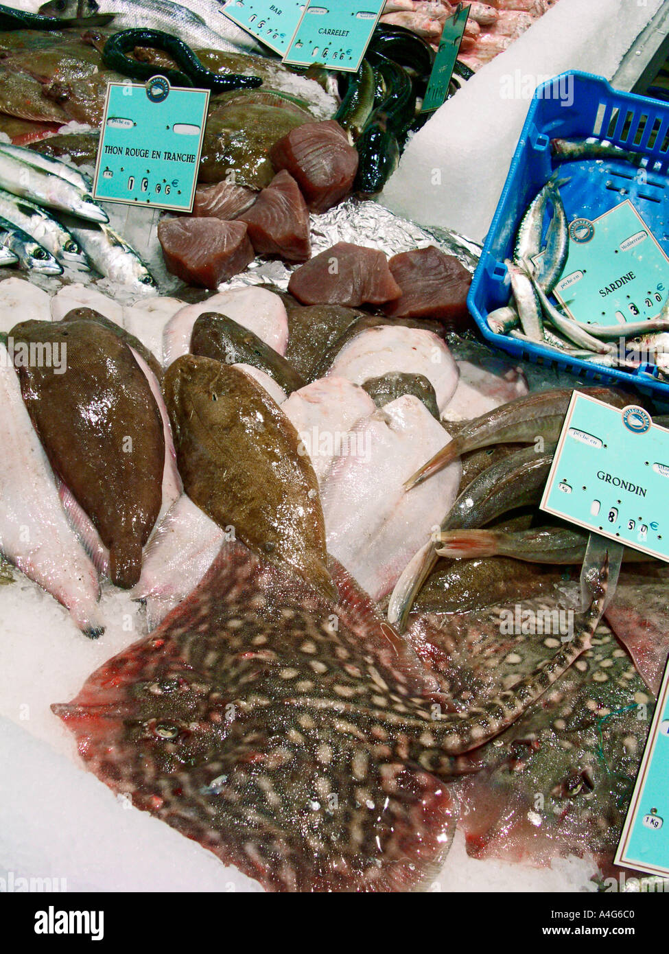 Wet fish on slab in French supermarket Stock Photo - Alamy