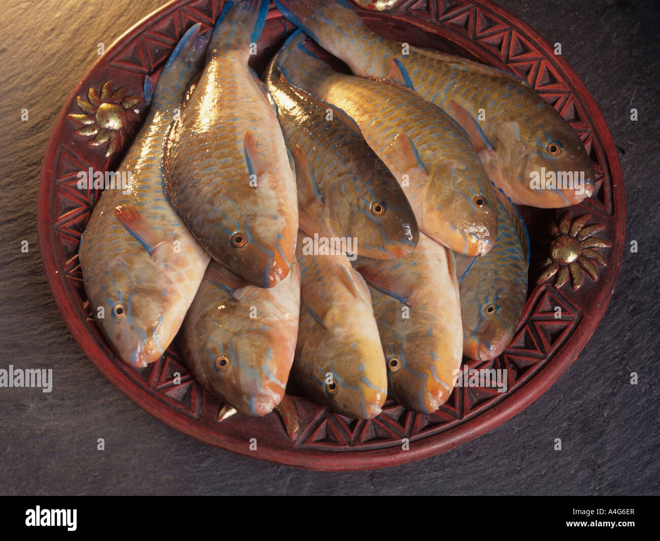 Fish - Fresh Catch Stock Photo - Alamy