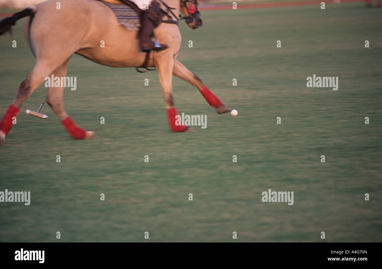 Game of Polo Stock Photo - Alamy
