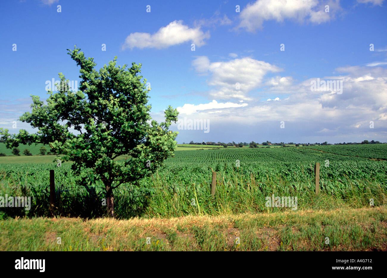 East anglia anglian rural big sky hi-res stock photography and images ...