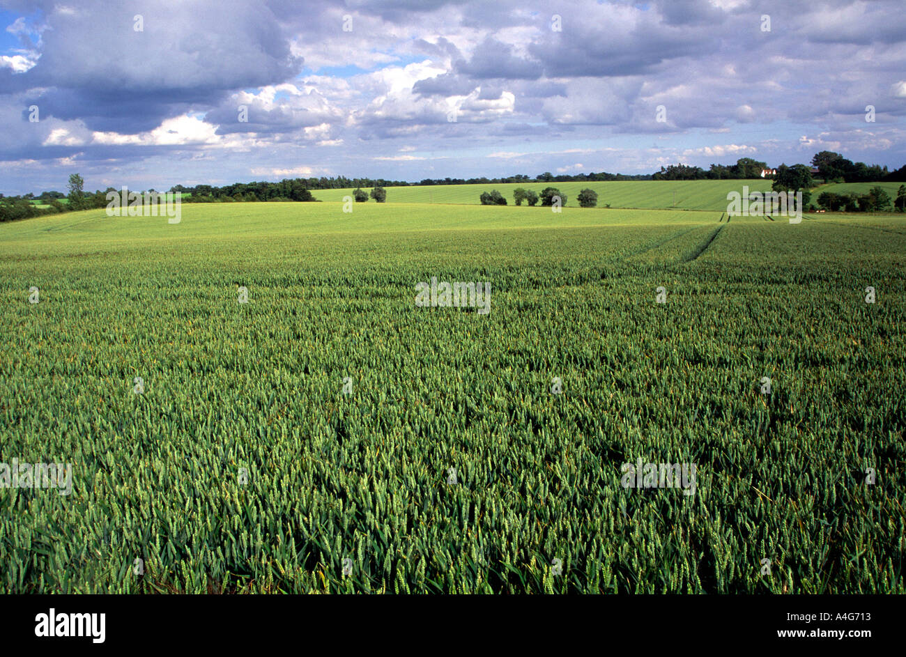 East anglia anglian rural big sky hi-res stock photography and images ...
