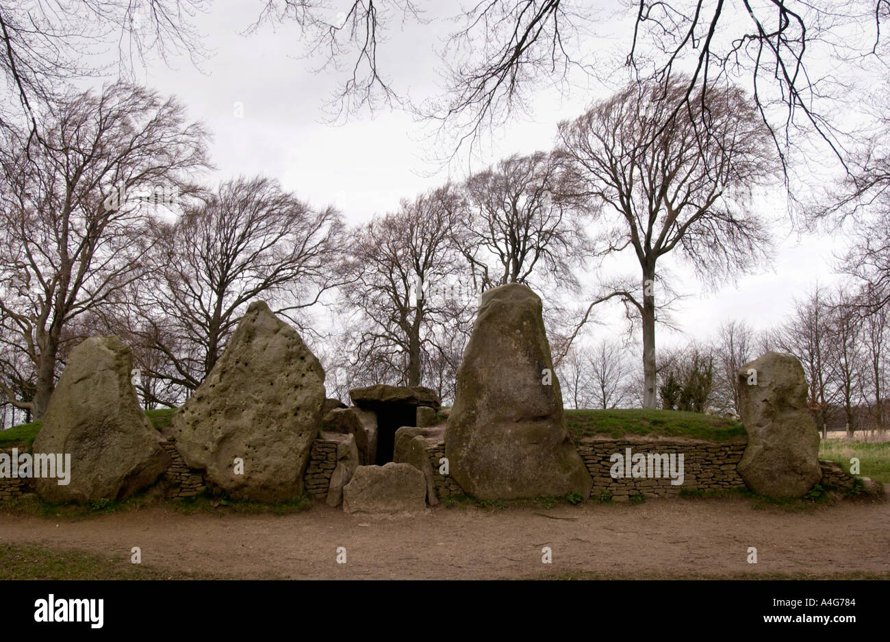 Waylands Smithy a Neolithic burial chamber dating from 3500BC situated ...