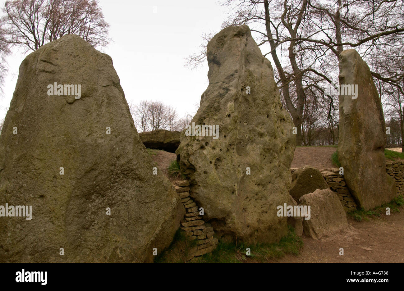 Waylands Smithy a Neolithic burial chamber dating from 3500BC situated ...